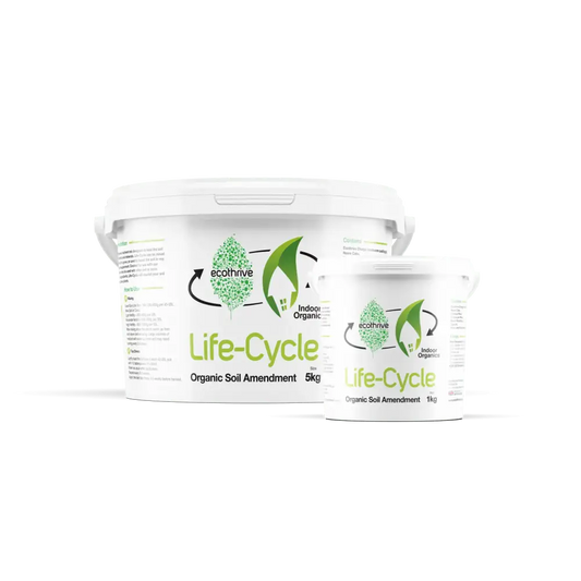 Products – Dr Forest
